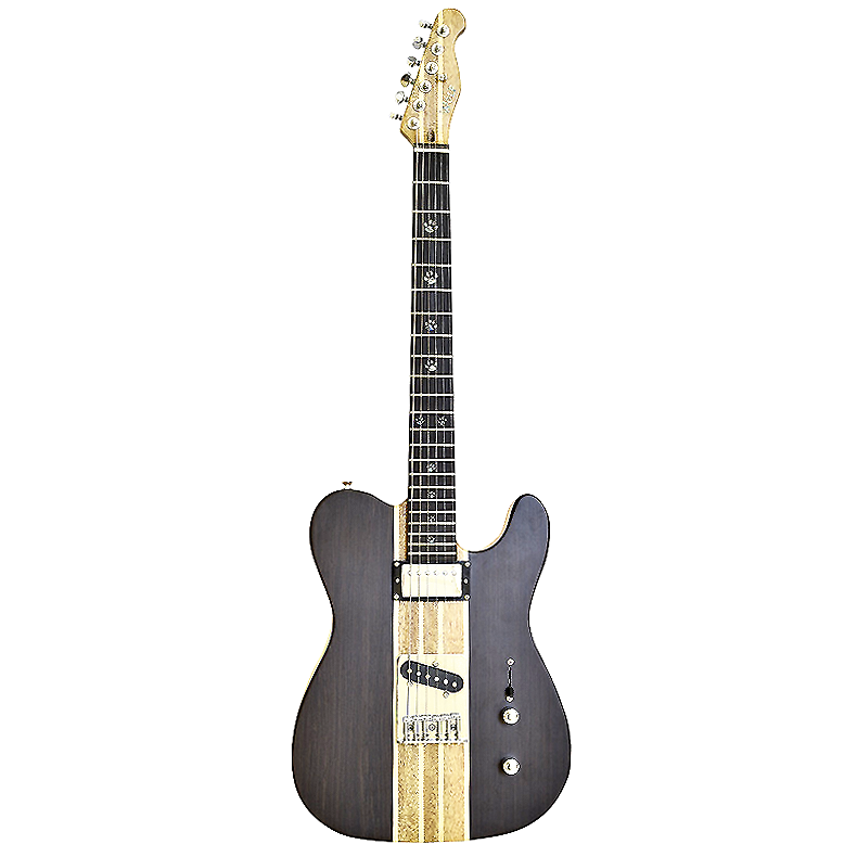 T-Dawg-H Left or Right Hand With Wolf Hard Case and Pro-Luthier Set Up ...